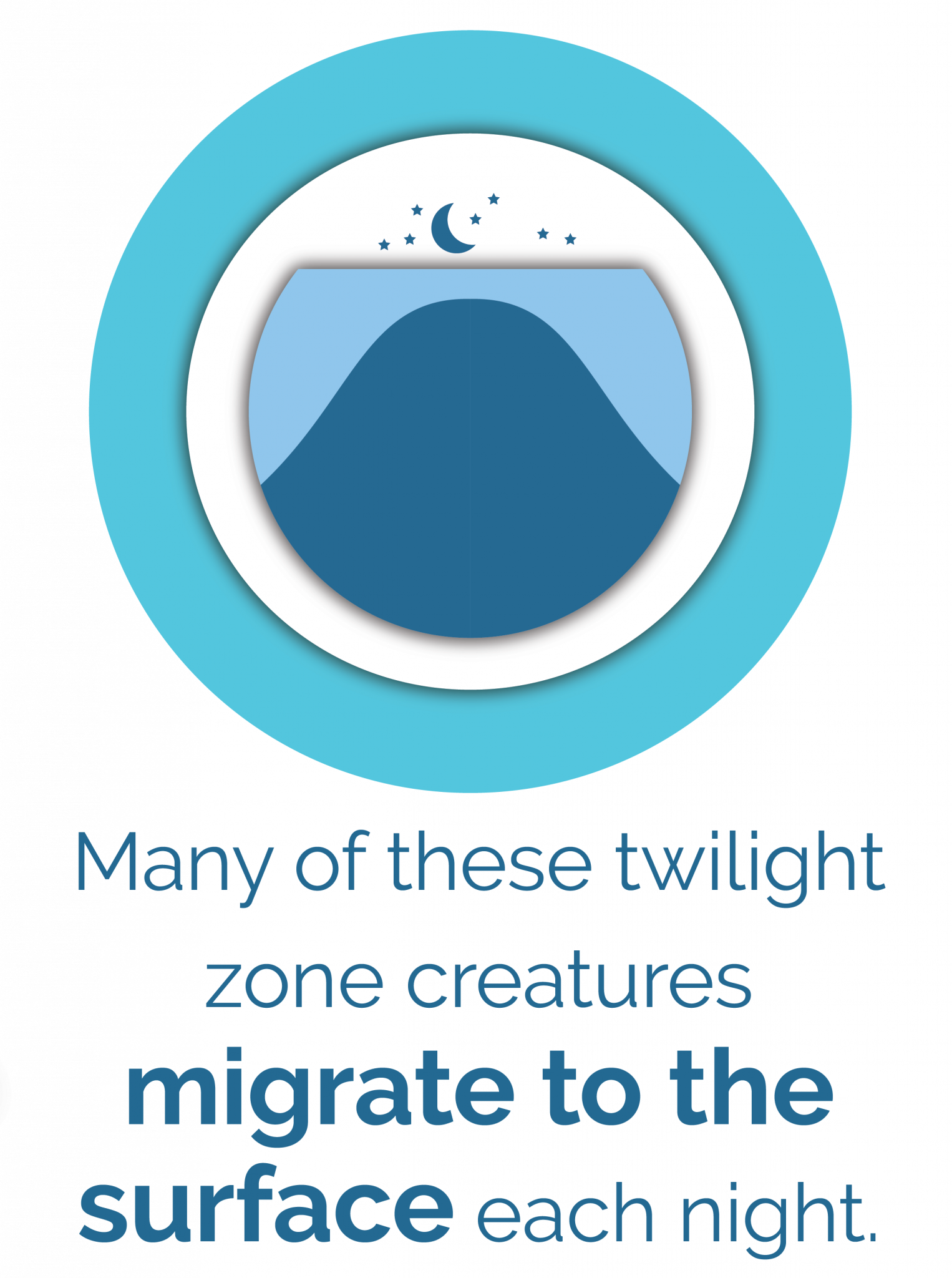Value of the Ocean Twilight Zone