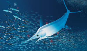 The Ocean Twilight Zone : Woods Hole Oceanographic Institution