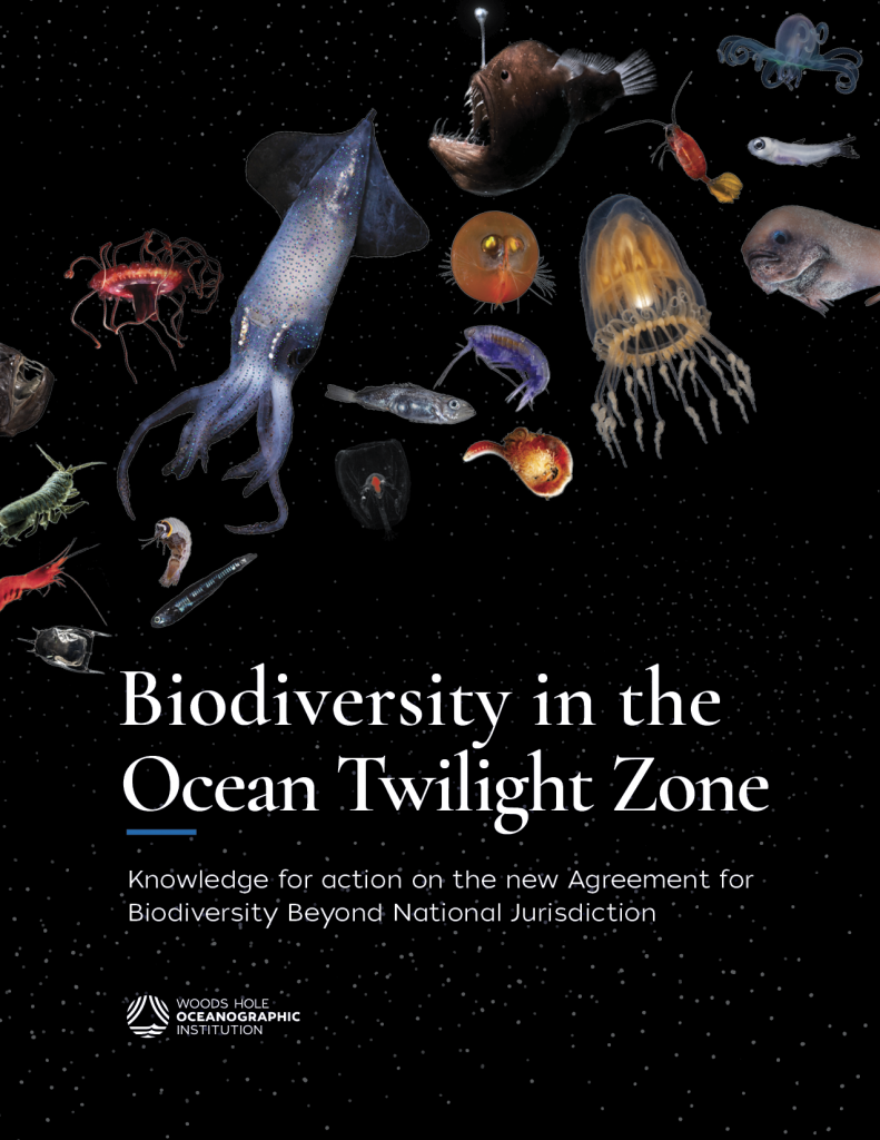 Policy Report: Biodiversity in the Twilight Zone - Twilight Zone