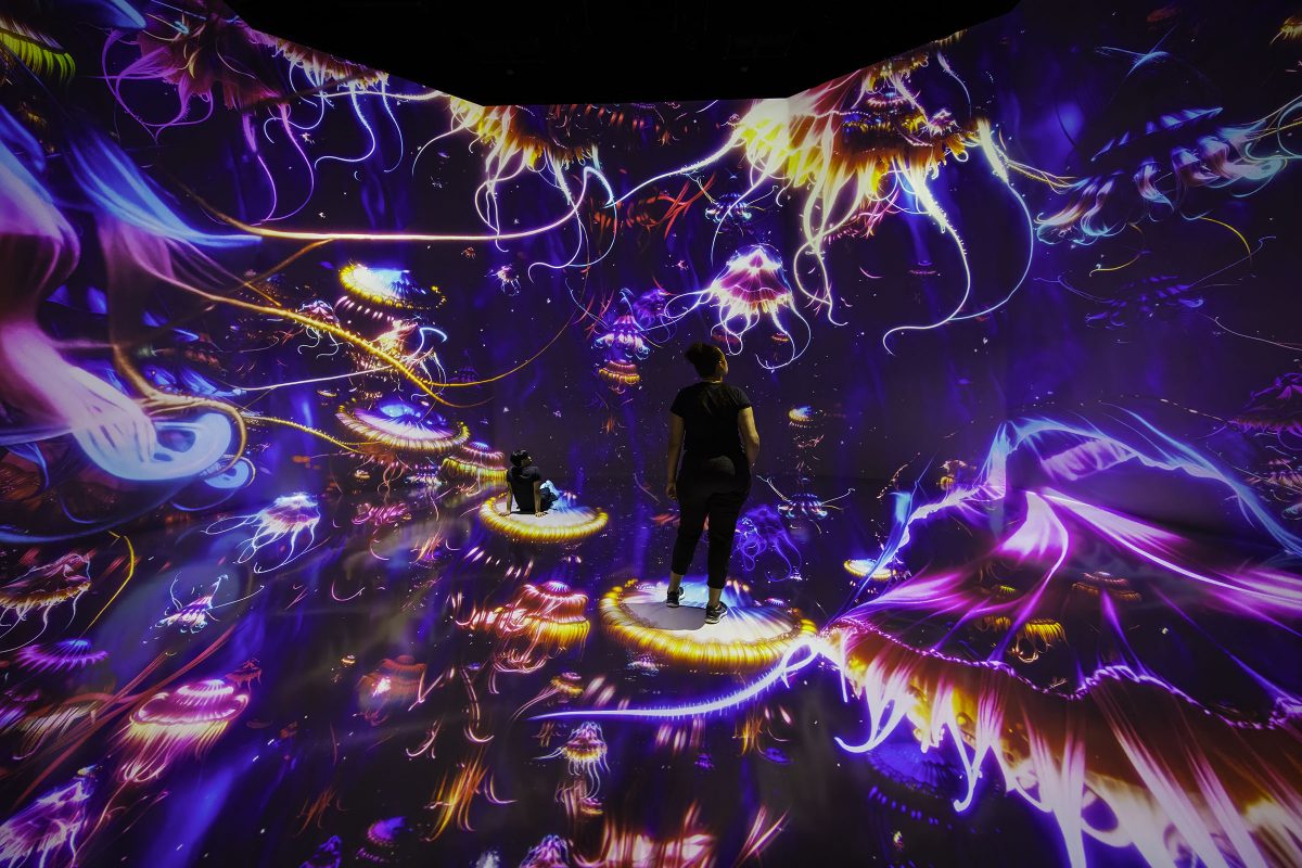 The Ocean Twilight Zone : Woods Hole Oceanographic Institution